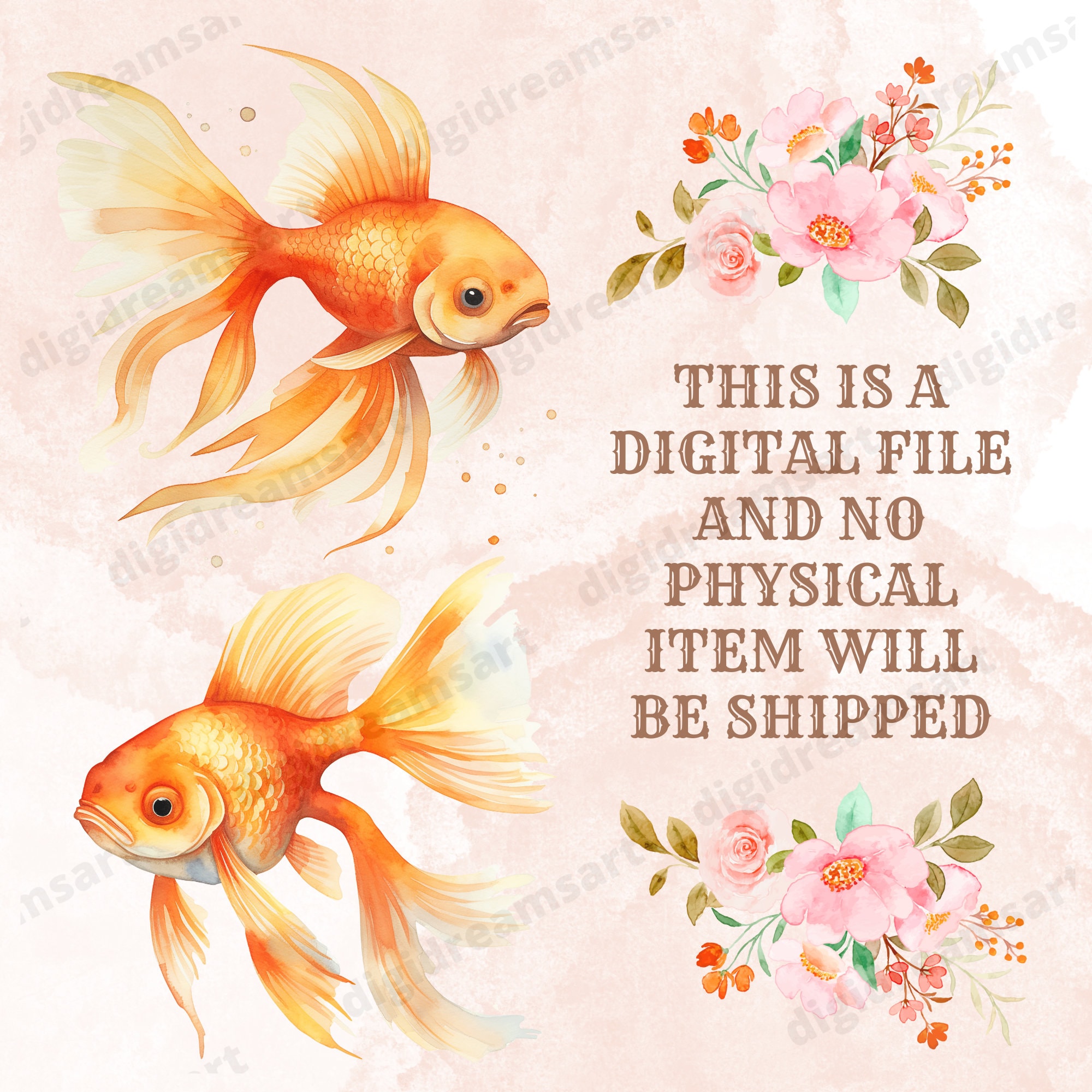 Pet Fish Mega Bundle 50 PNG Clipart Images - Transparent PNG Collection ...