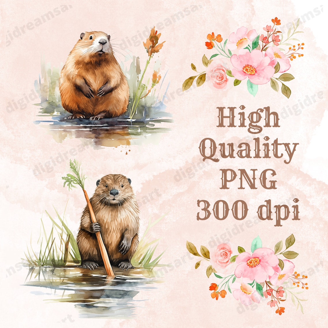 Cute Rodents Mega Bundle 50 PNG Clipart Transparent PNG - Etsy