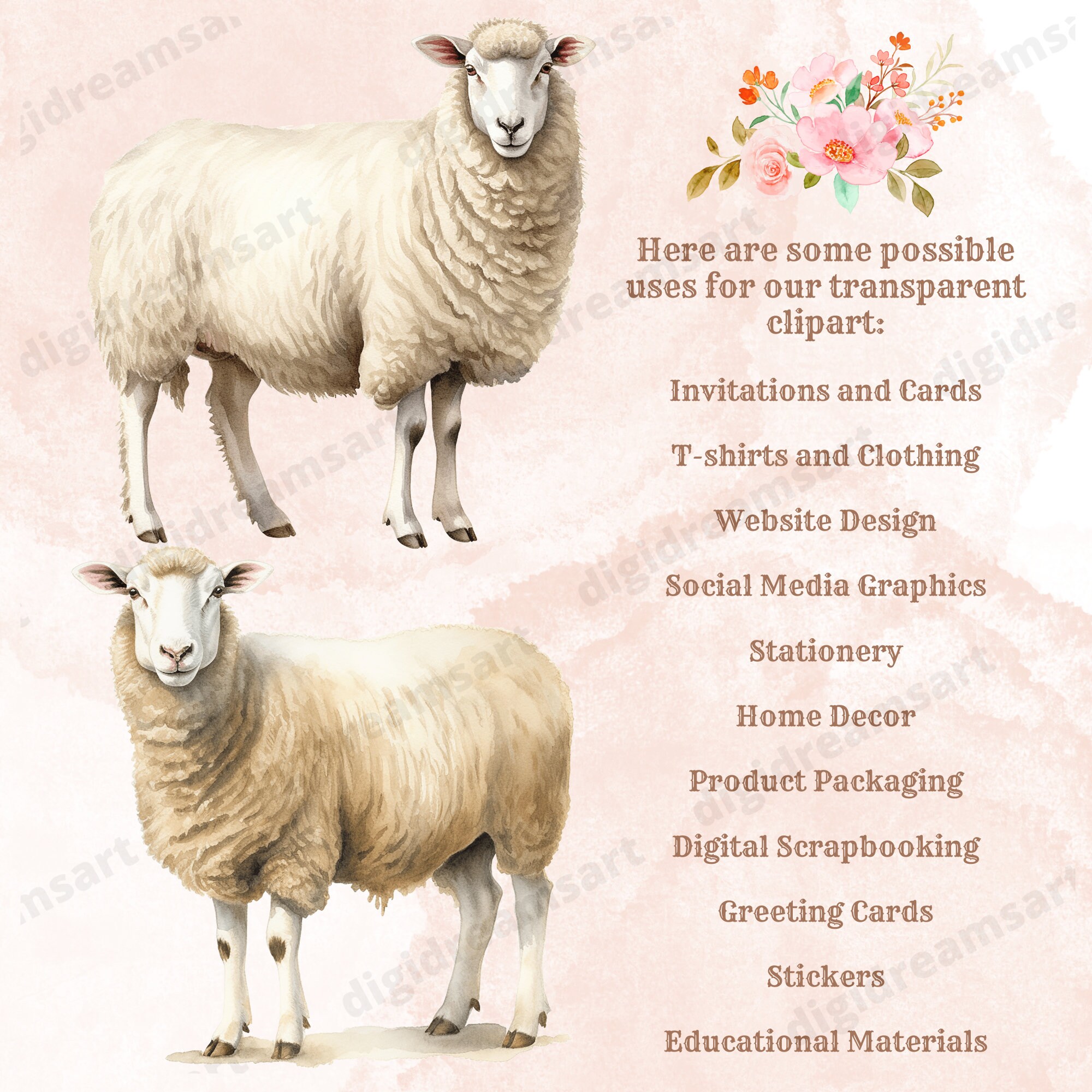 Dorset Sheep Clipart Bundle Transparent PNG Collection - Etsy