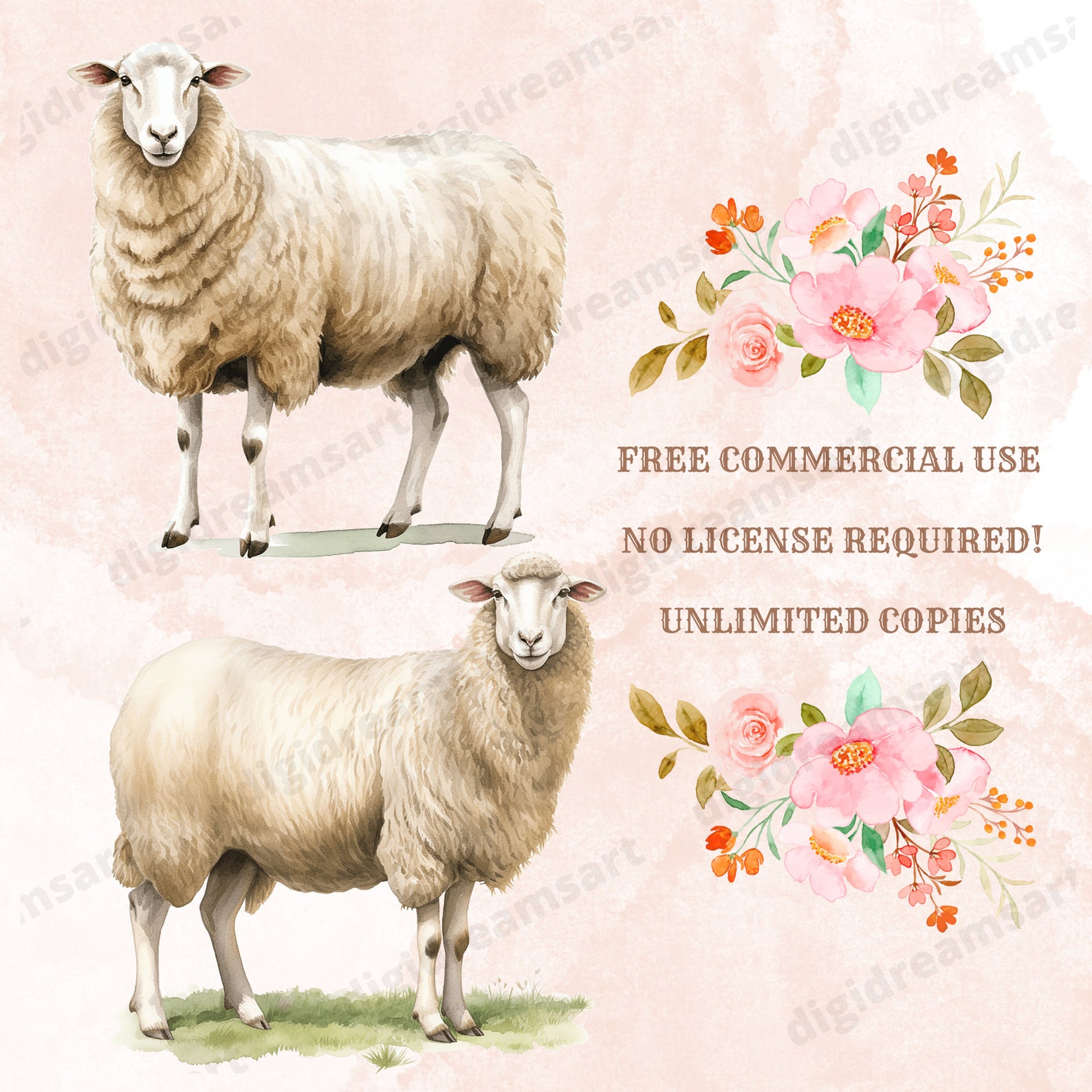 Farm Sheep Clipart Bundle Transparent PNG Collection, Digital Prints ...