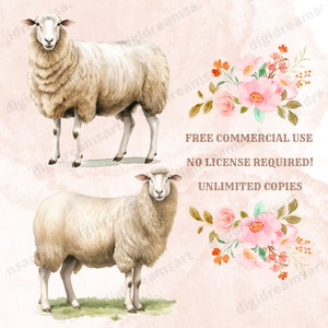 Farm Sheep Clipart Bundle - Transparent PNG Collection, Digital Prints ...