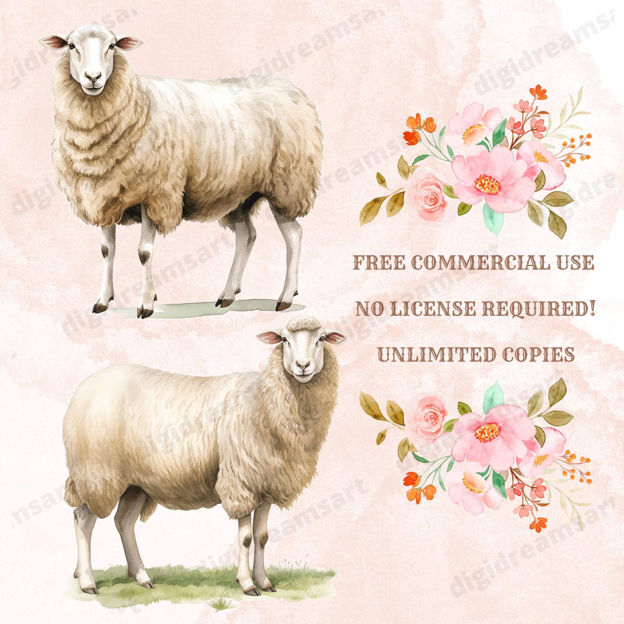 Farm Sheep Clipart Bundle Transparent PNG Collection, Digital Prints ...