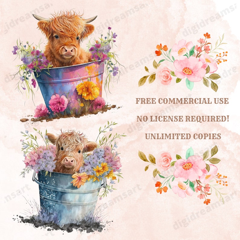 Cute Baby Highland Cow Design Bundle PNG Transparent Clipart - Etsy