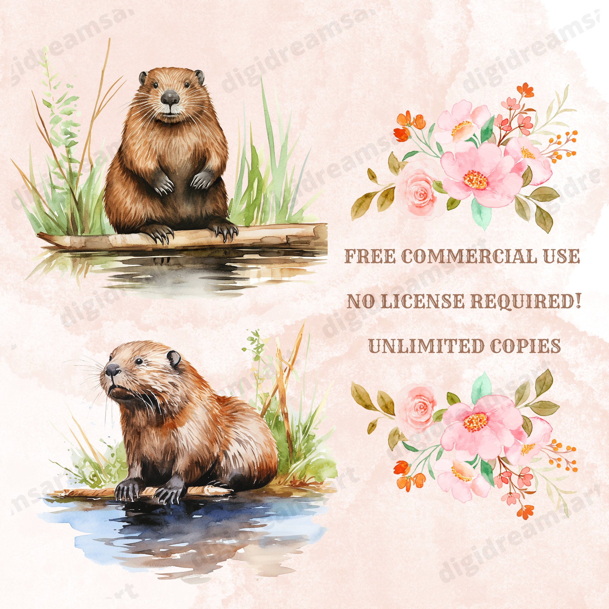 Beaver Clipart Bundle Transparent PNG Collection, Watercolor Graphics ...