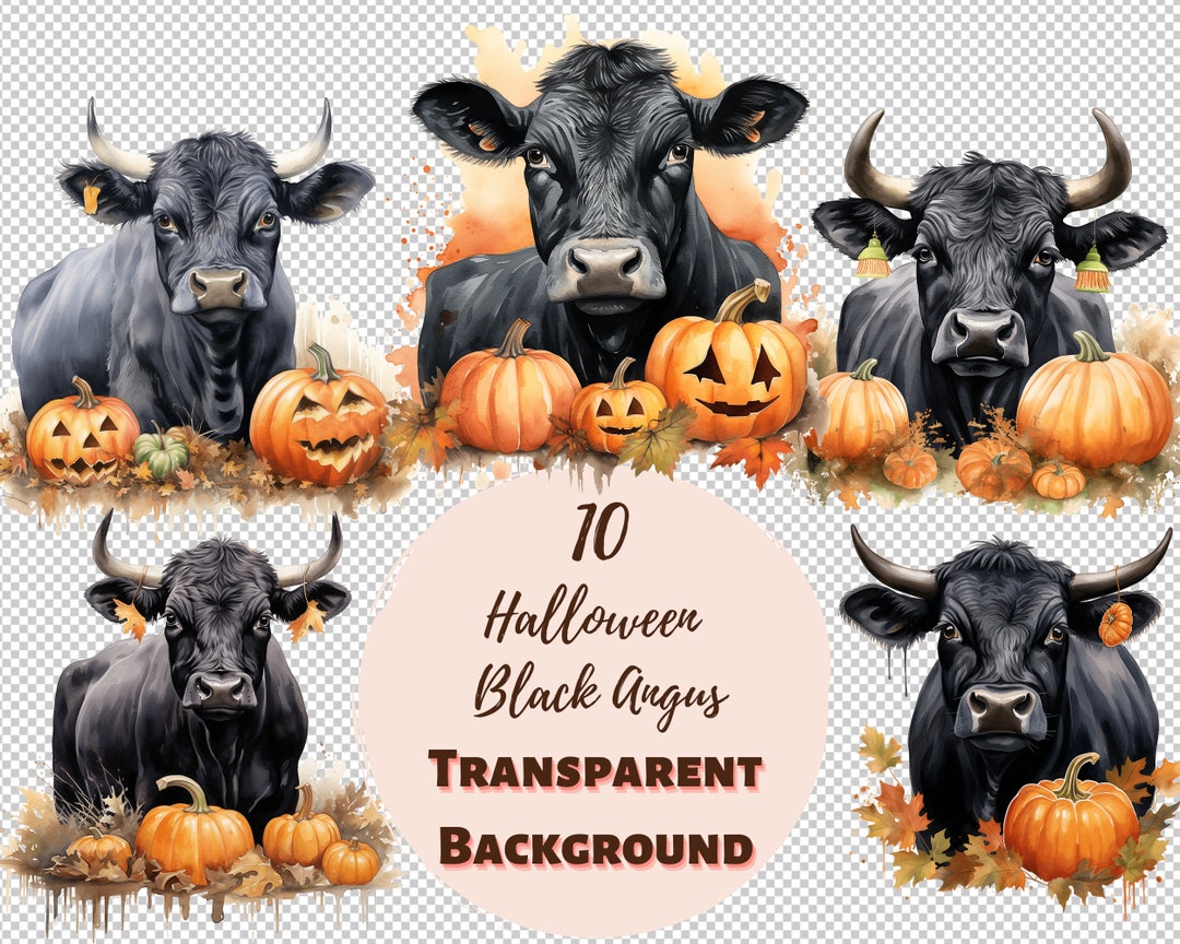 Halloween Black Angus Clipart Bundle Transparent PNG Collection ...