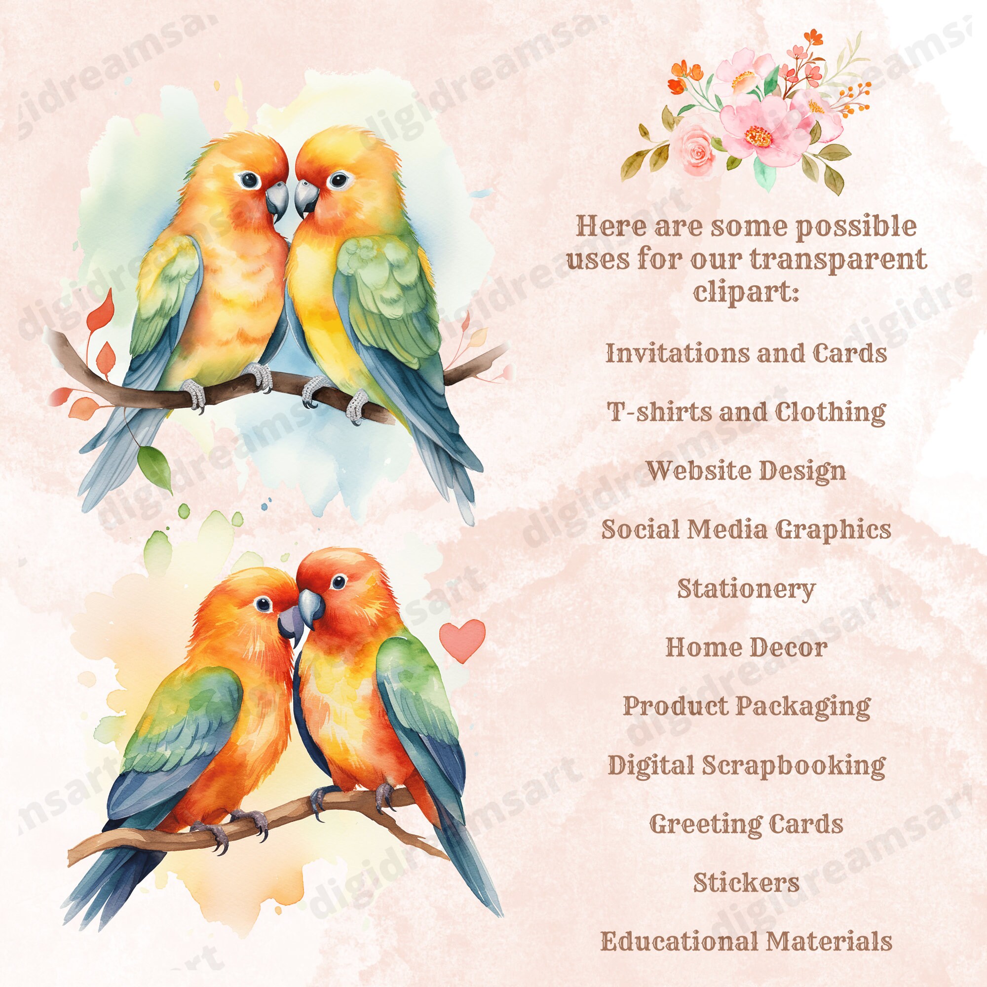 Lovebird Clipart Bundle - Transparent PNG Collection, Watercolor ...