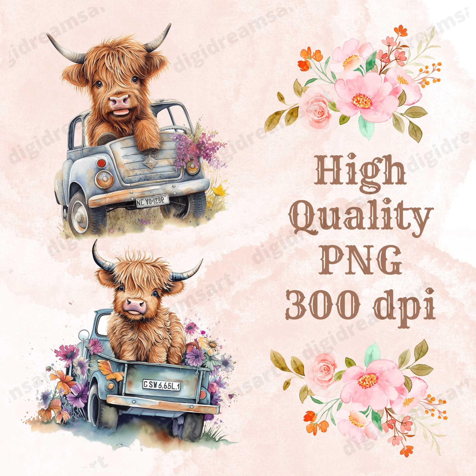 Highland Cow on Car Clipart Bundle Transparent PNG Collection ...