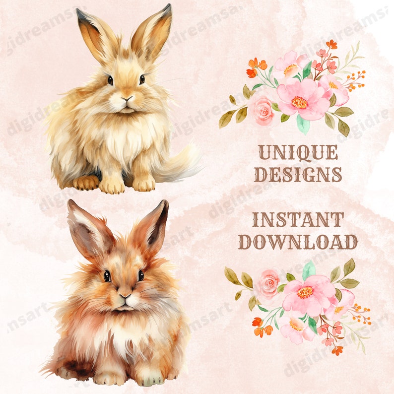 Lionhead Rabbit Clipart Bundle Transparent PNG Collection - Etsy