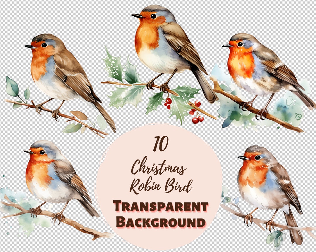Christmas Robin Bird Design Bundle PNG Transparent Clipart Collection ...