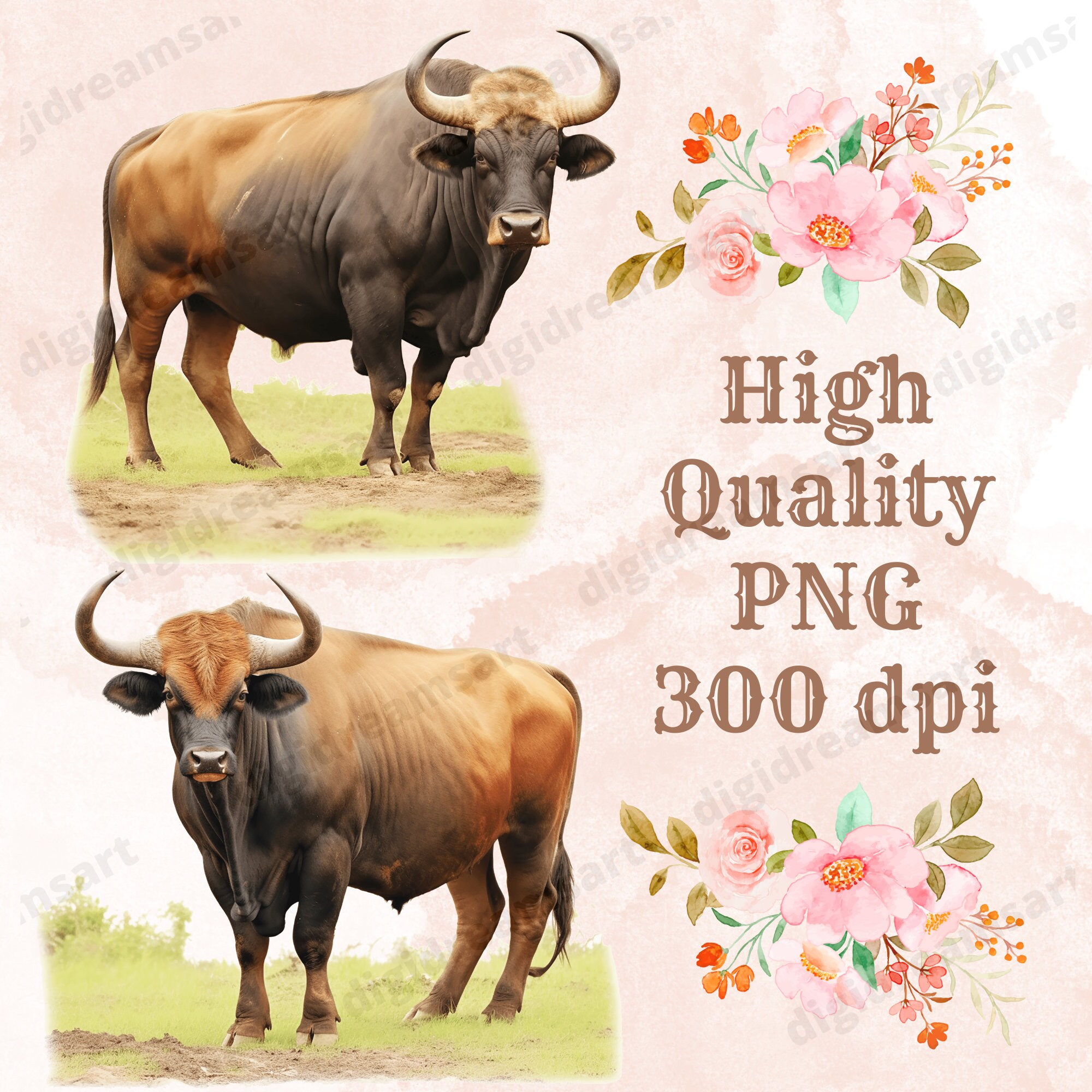 Gaur Clipart Bundle Transparent PNG Collection Digital - Etsy