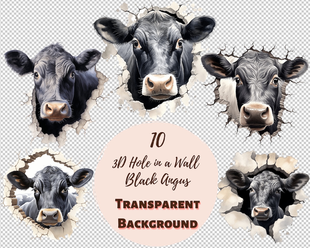 3D Hole in a Wall Black Angus Design Bundle - PNG Transparent Clipart ...