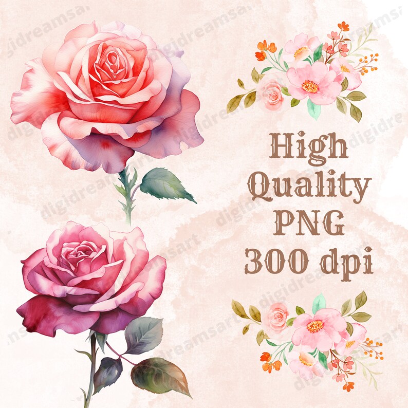 Rose Clipart Bundle Transparent PNG Collection, Watercolor Graphics ...