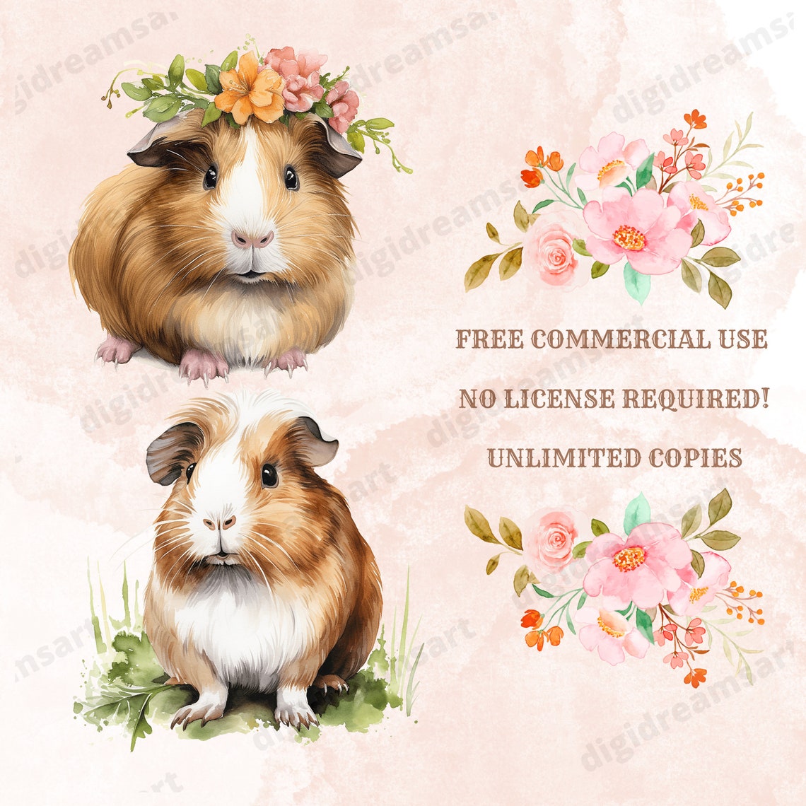 Cute Rodents Mega Bundle 50 PNG Clipart Transparent PNG - Etsy