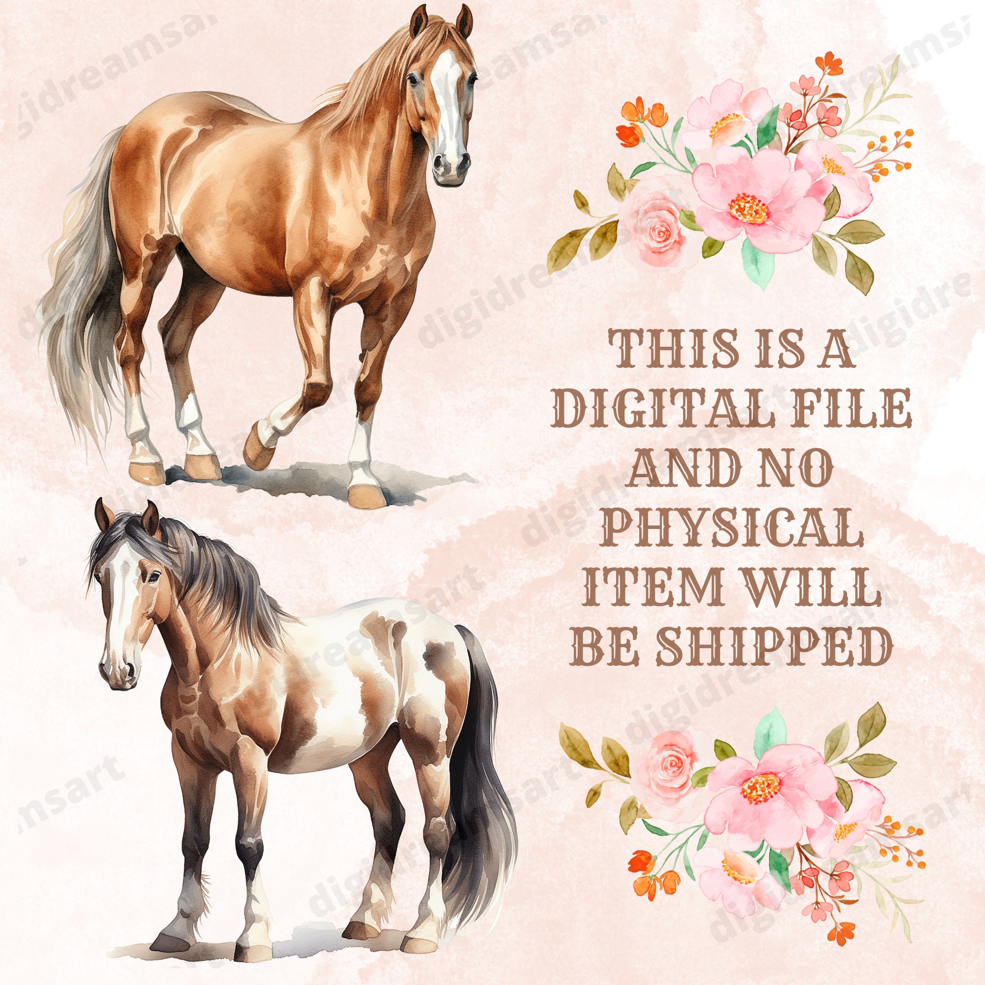 Farm Horse Clipart Bundle Transparent PNG Collection, Digital Prints ...