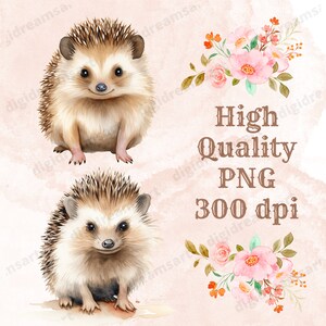Hedgehog Clipart Bundle Transparent PNG Collection, Digital Prints ...
