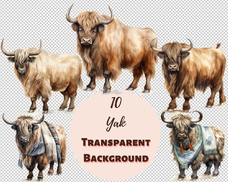 Yak Clipart Bundle Transparent PNG Collection Digital - Etsy