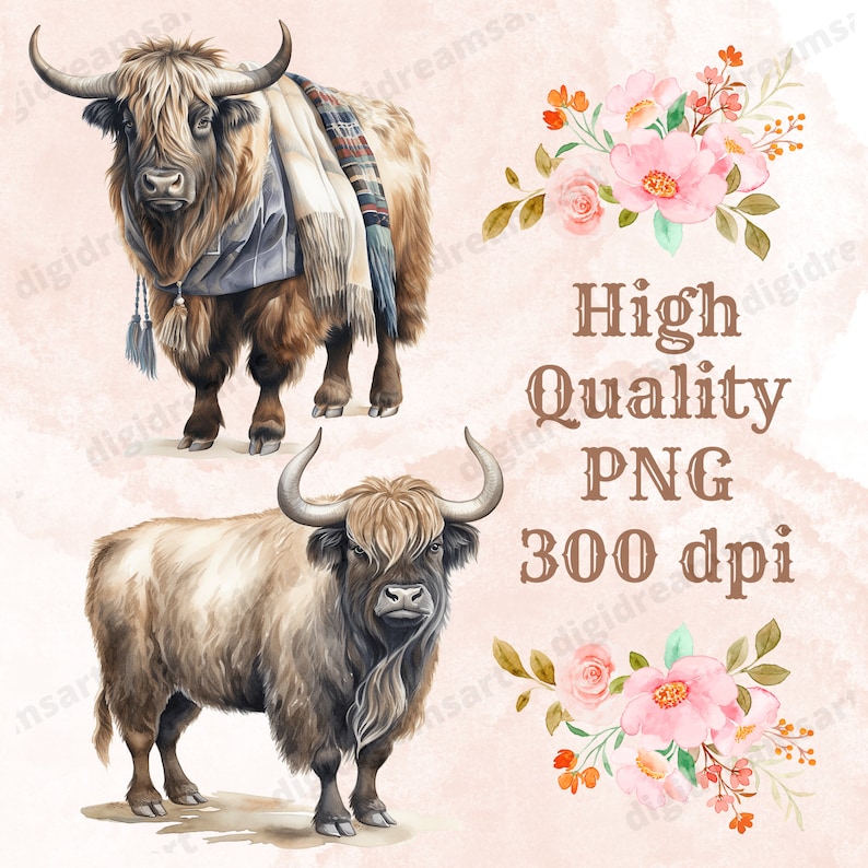 Yak Clipart Bundle Transparent PNG Collection Digital - Etsy