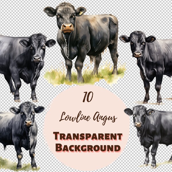 Angus Cattle Canvas - Etsy