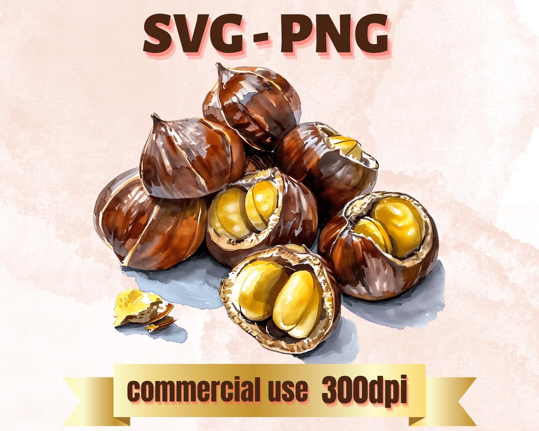 Chestnuts transparent Clipart, Available as SVG and PNG, Watercolor ...