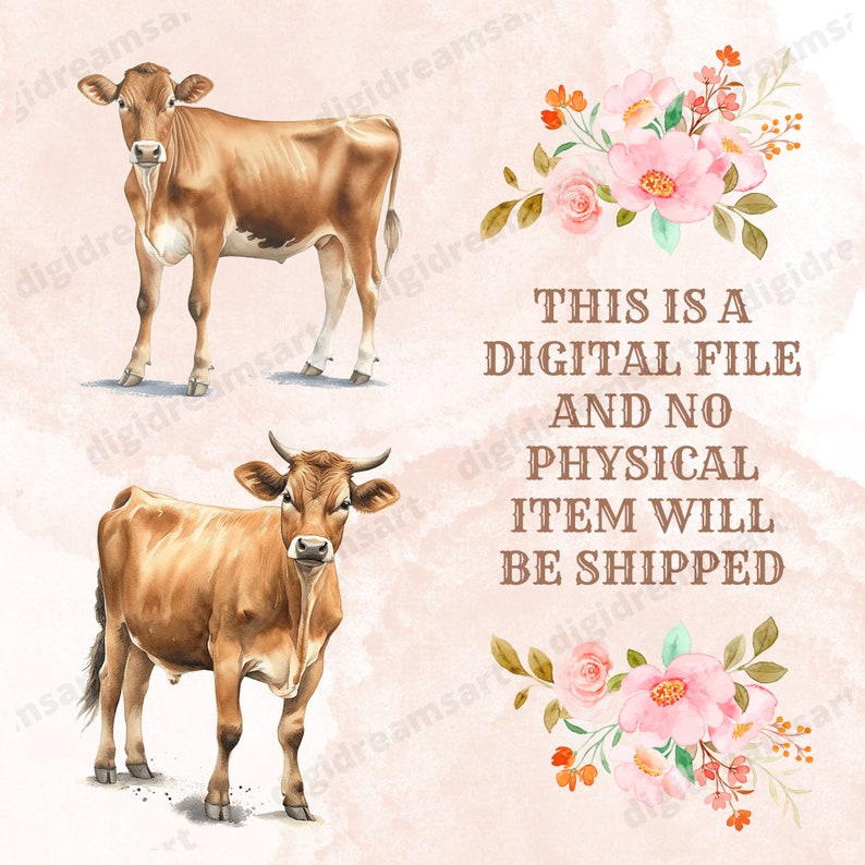Jersey Cow Clipart Bundle Transparent PNG Collection - Etsy