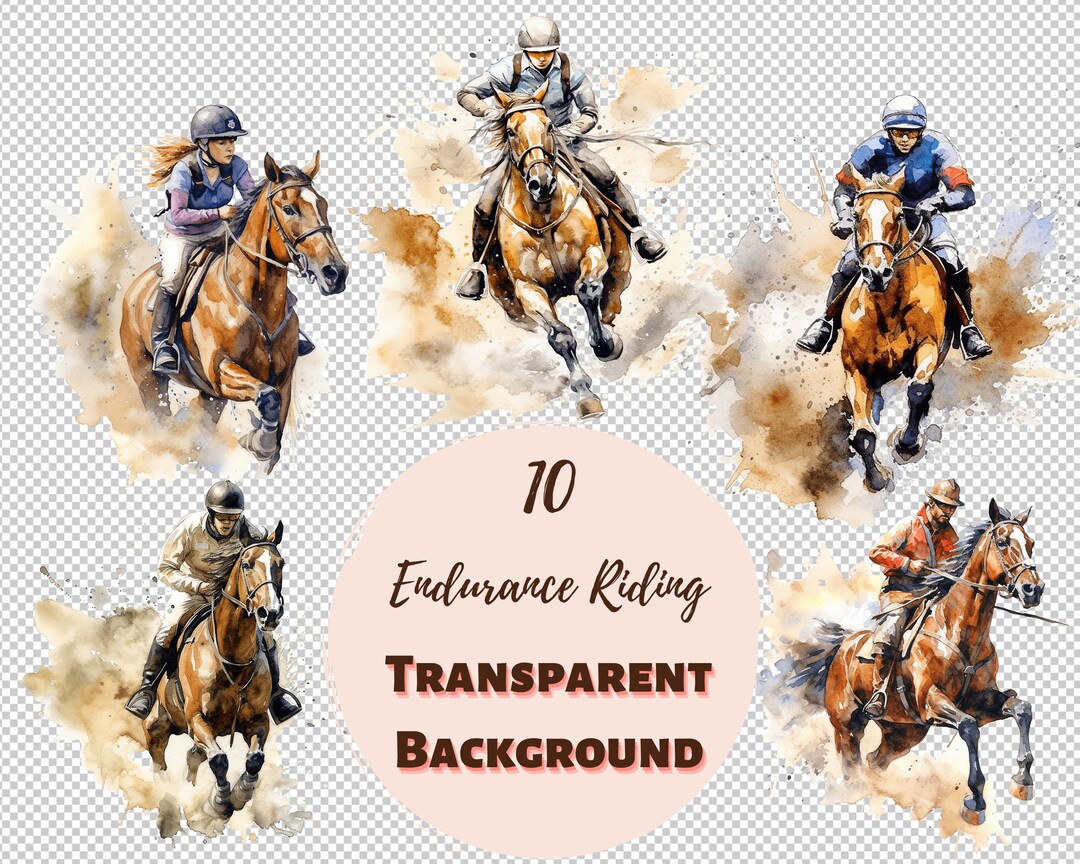 Endurance Riding, Horse Clipart Bundle Transparent PNG Collection ...