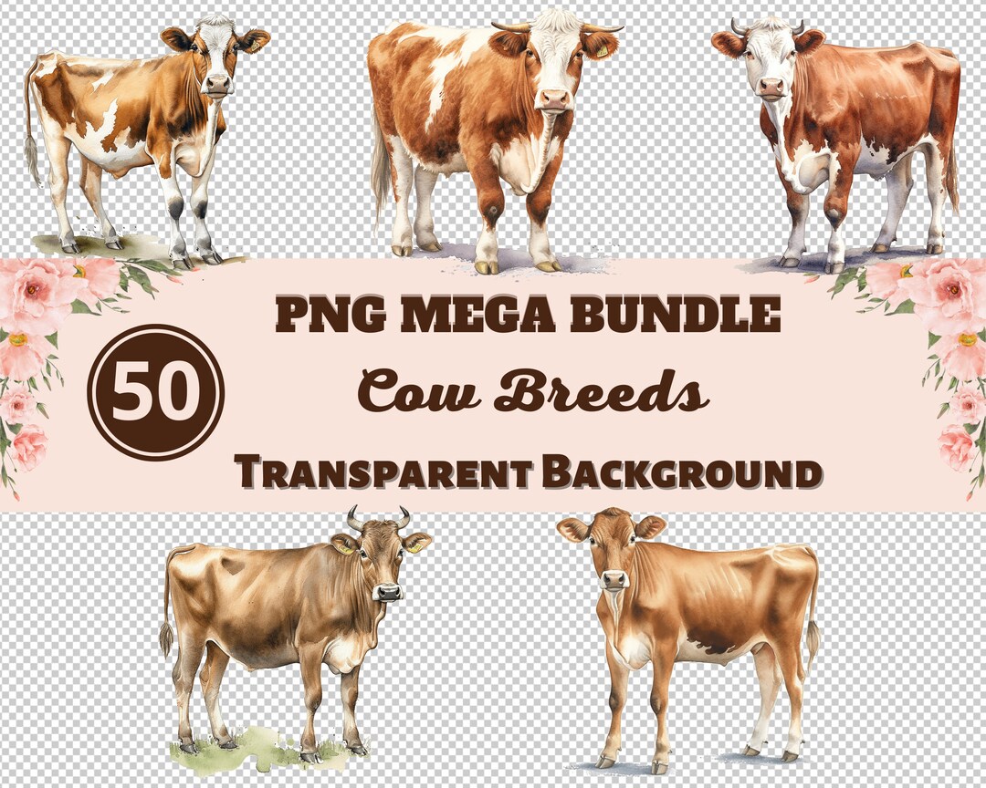 Cow Breeds Clipart, 50 PNG Collection (digital Prints) - Etsy