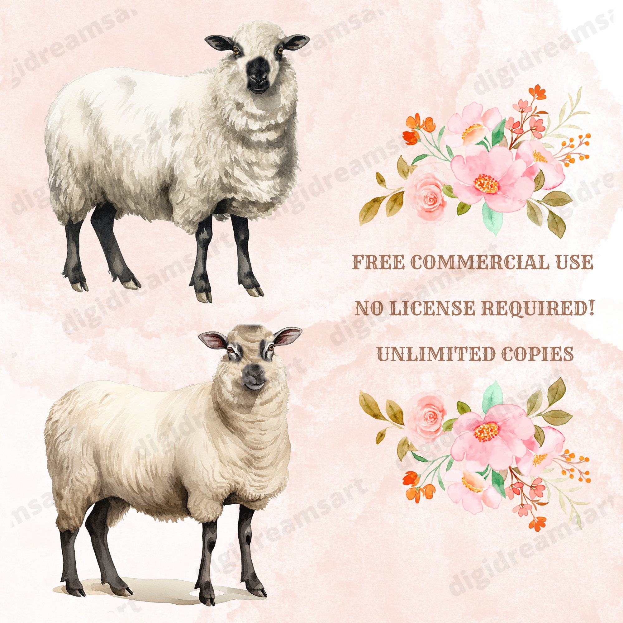 Sheep Breeds Mega Bundle 50 PNG Clipart Images Transparent PNG ...
