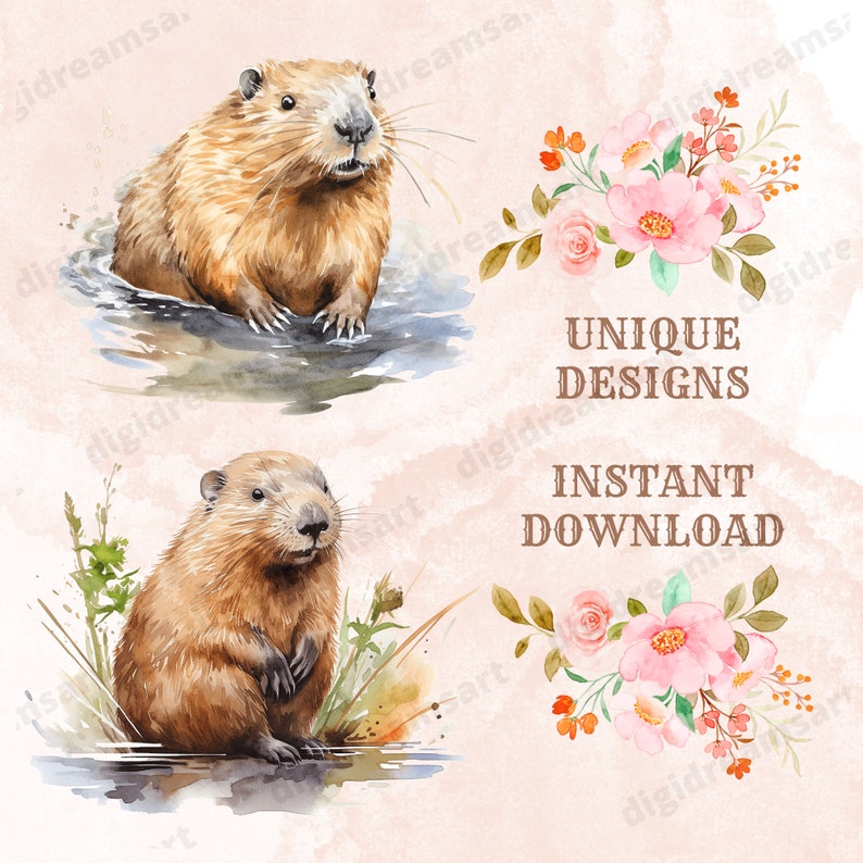 Beaver Clipart Bundle Transparent PNG Collection, Watercolor Graphics ...
