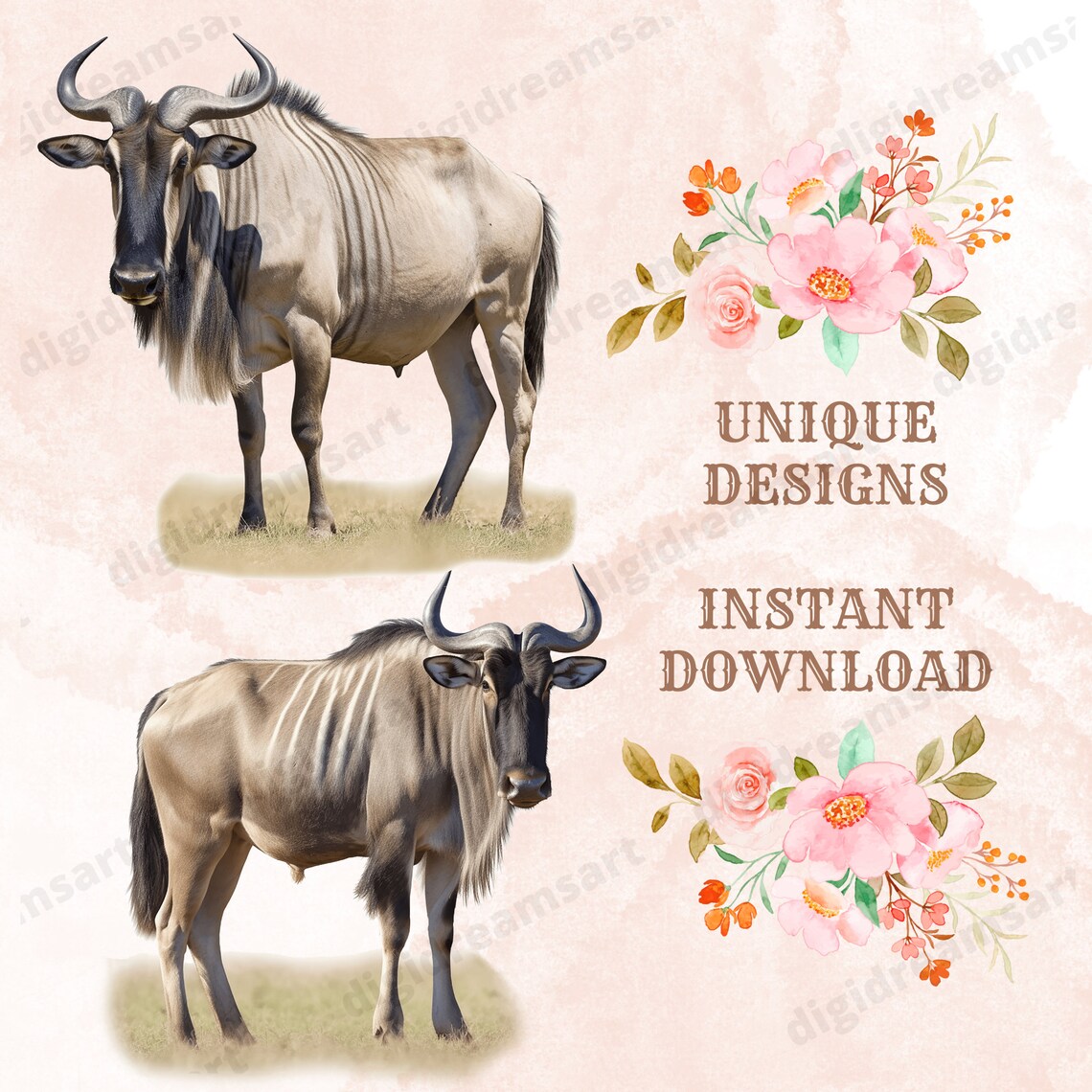 Gnu Clipart Bundle Transparent PNG Collection Digital - Etsy