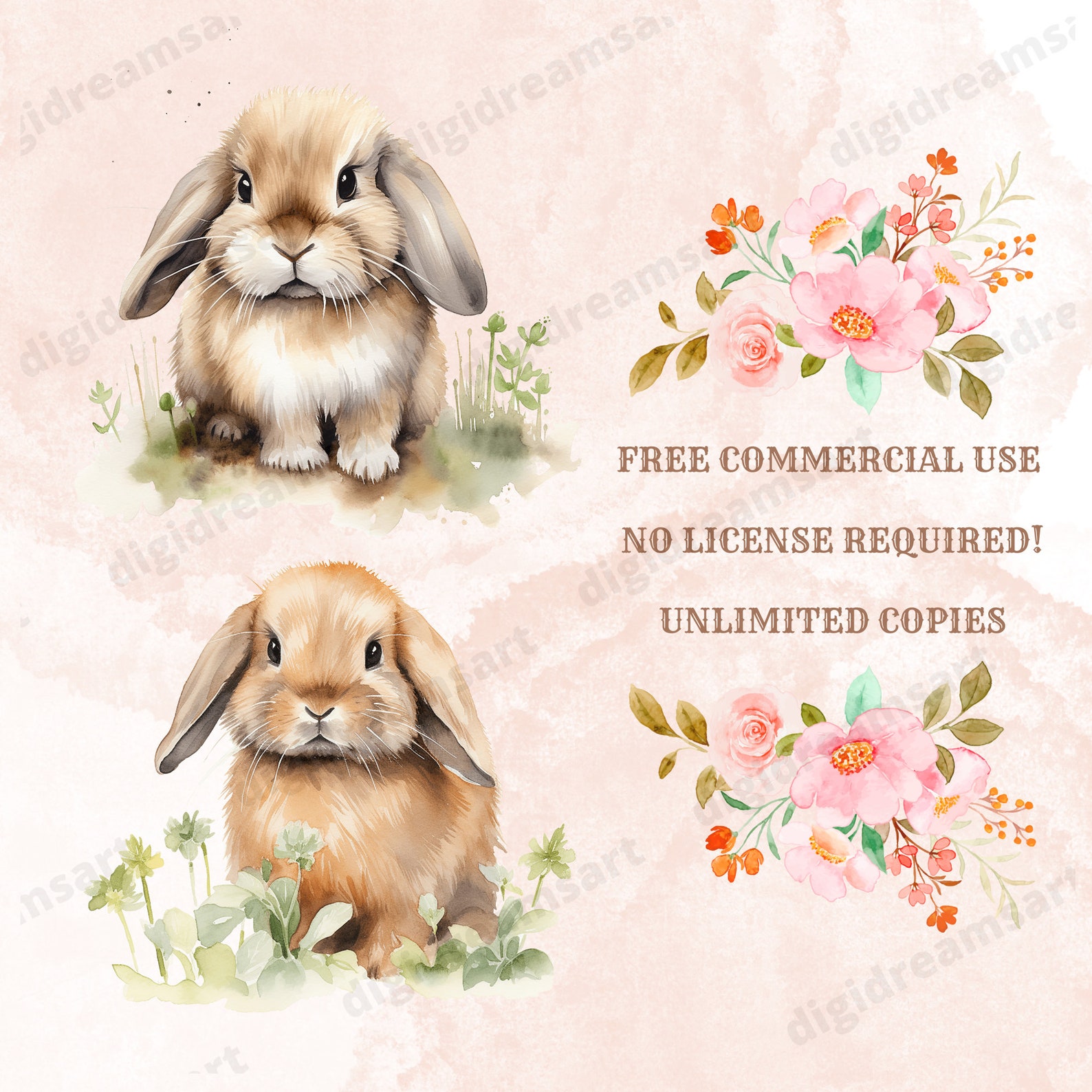 Rabbit Breeds Mega Bundle 50 PNG Clipart Transparent PNG Collection ...