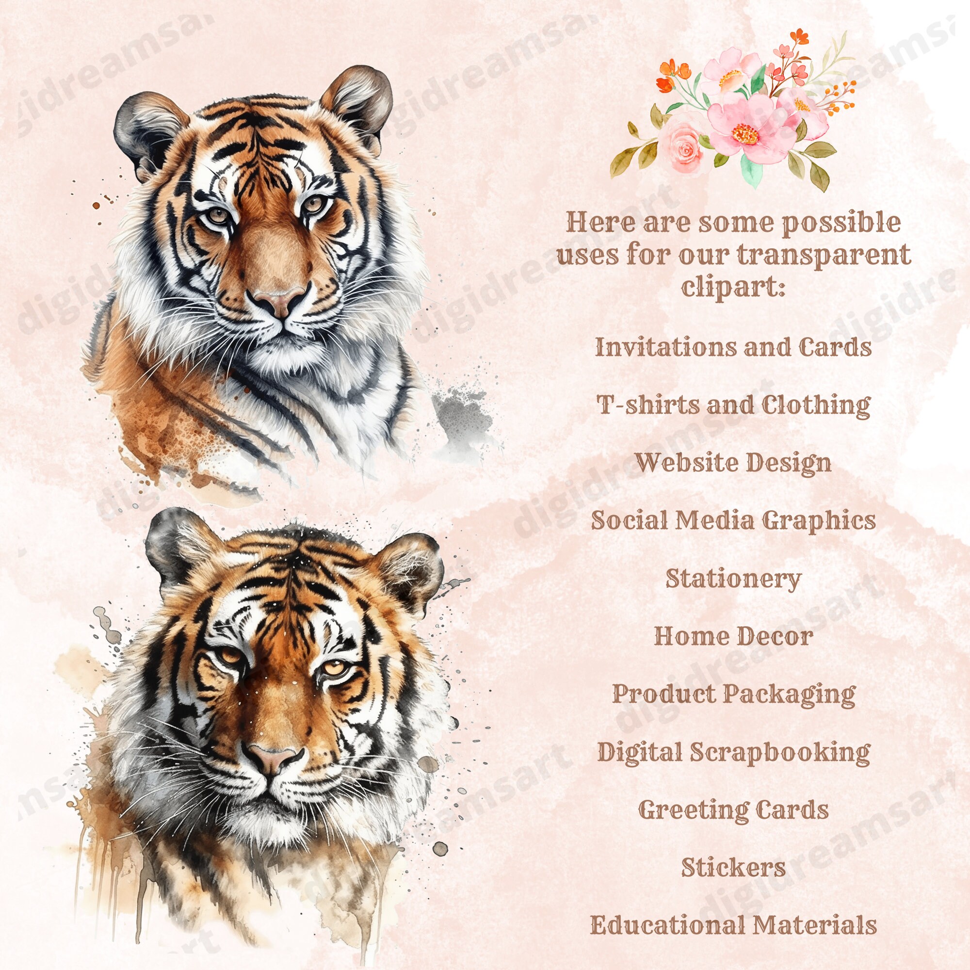 Tiger Clipart Bundle Transparent PNG Collection Digital - Etsy