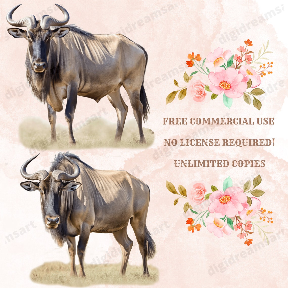Gnu Clipart Bundle Transparent PNG Collection Digital - Etsy