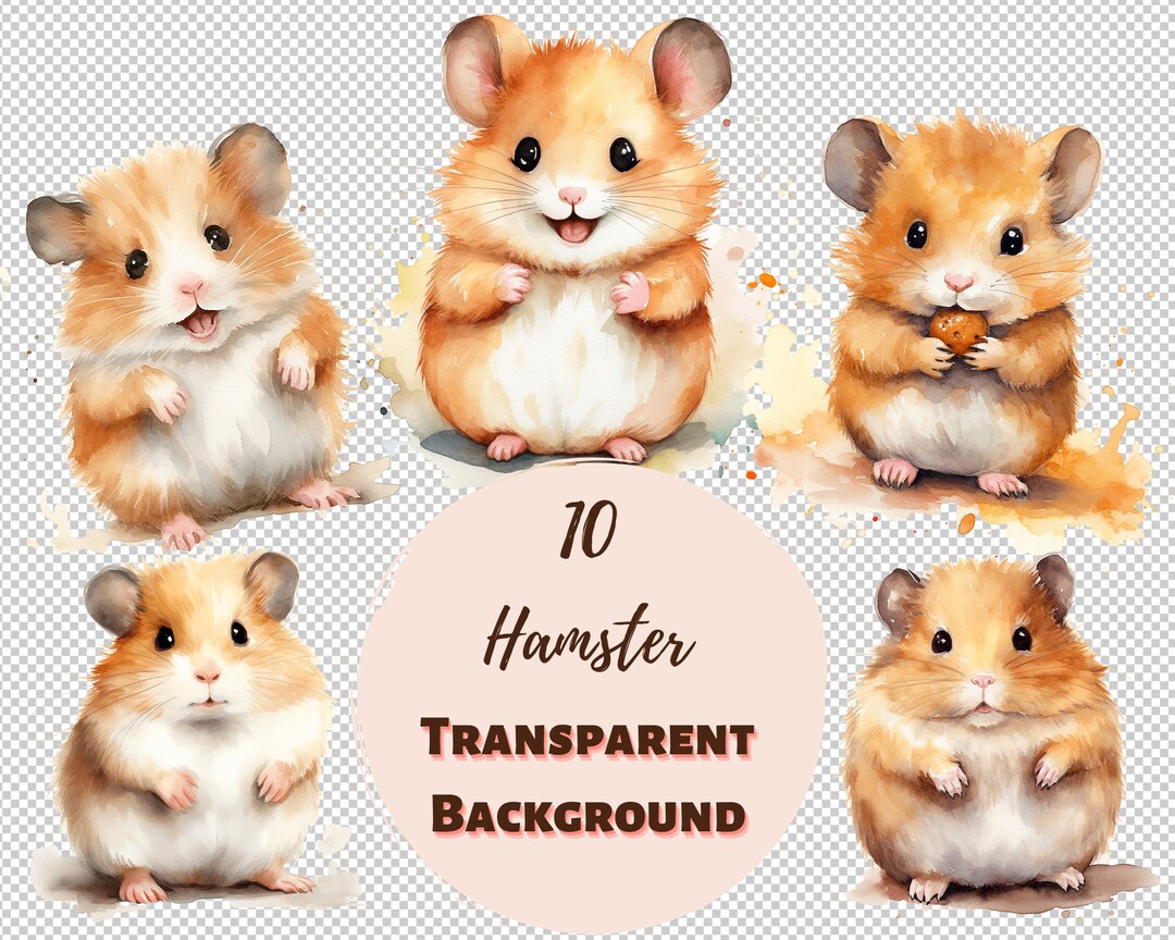 Hamster Clipart Bundle - Transparent PNG Collection, Watercolor ...