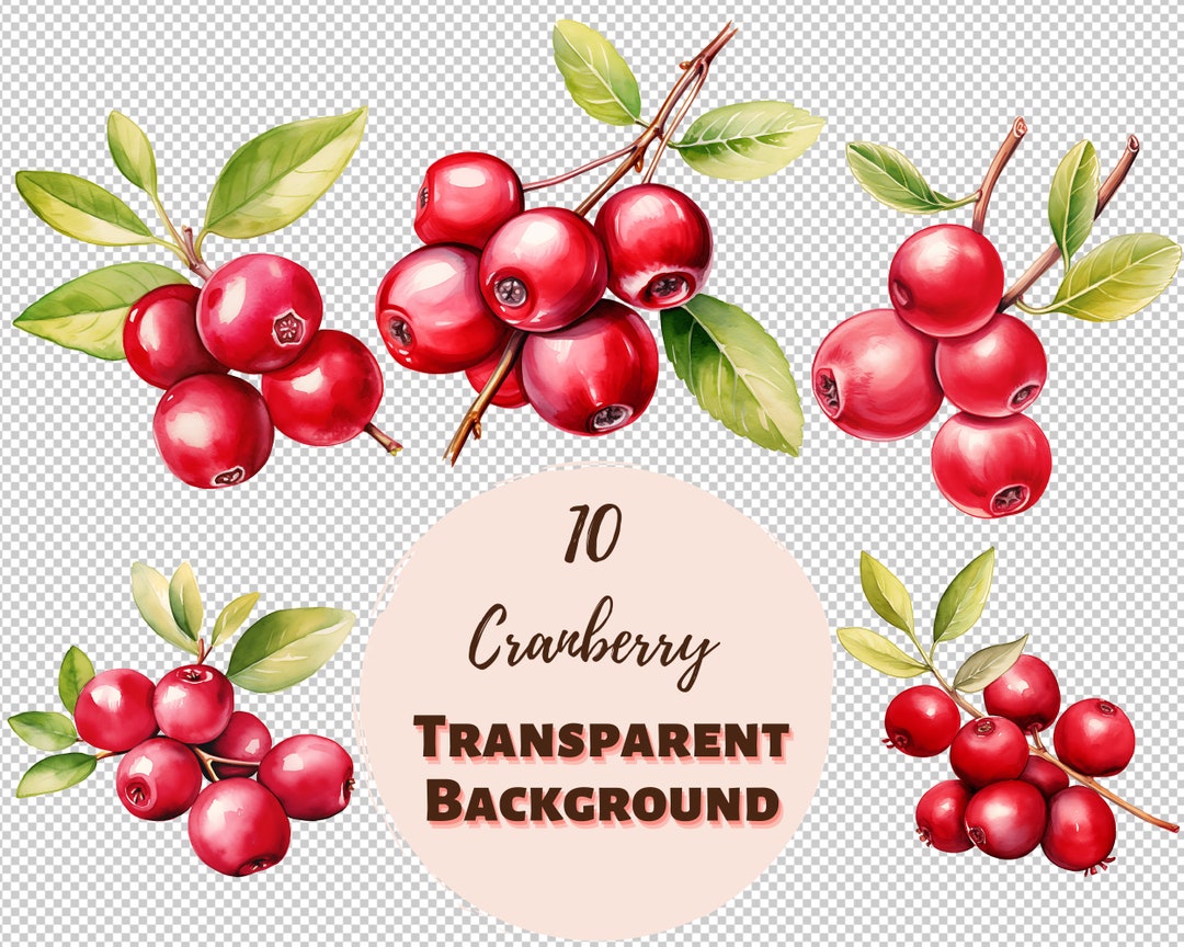 Cranberry Clipart Bundle - Transparent PNG Collection, Watercolor ...