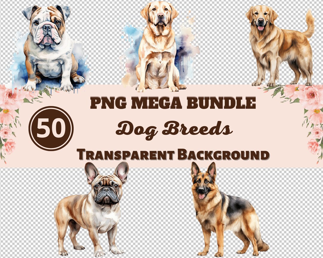 Dog Breeds Mega Bundle 50 PNG Clipart Transparent PNG Collection ...