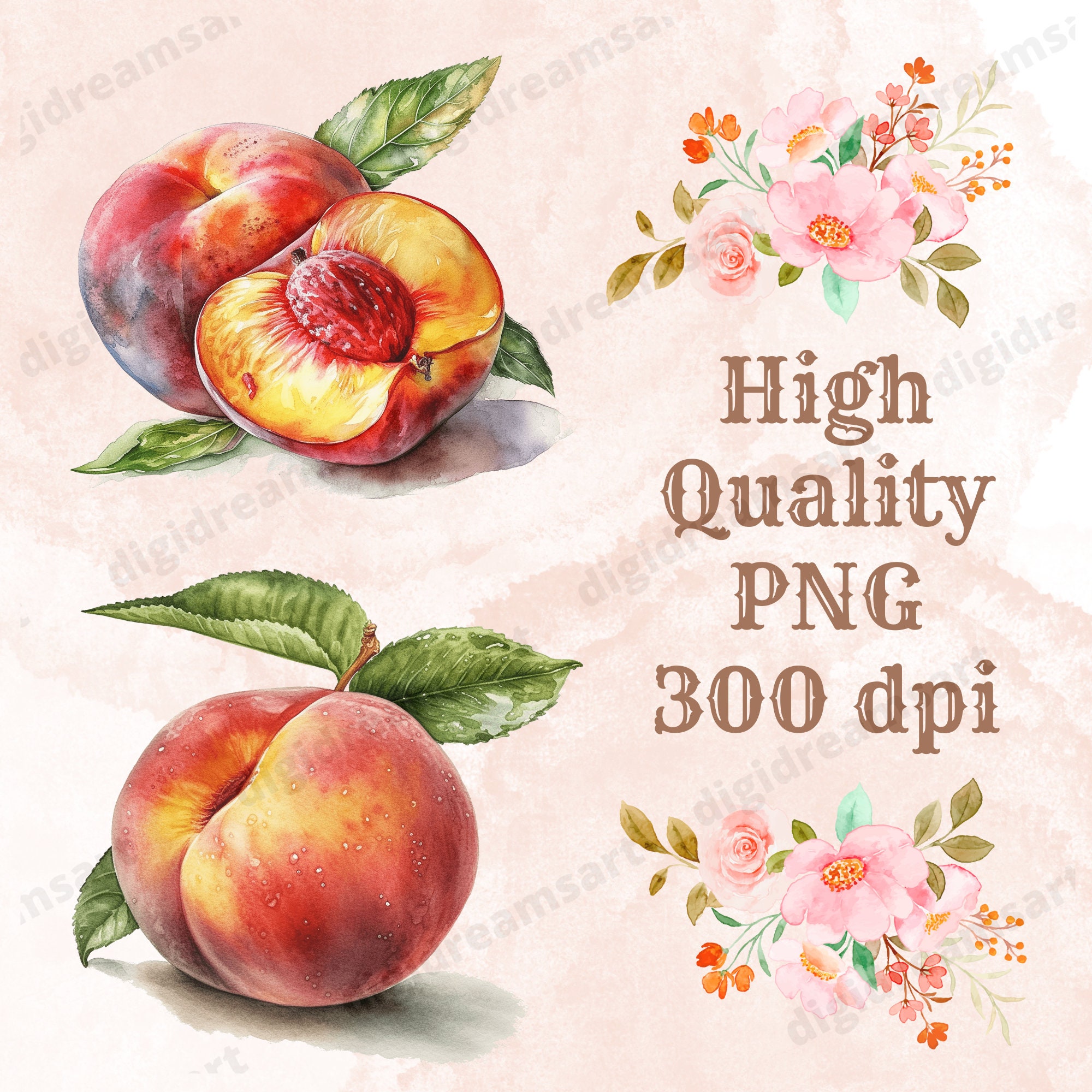 Peach Design Bundle PNG Transparent Clipart Collection, Watercolor ...