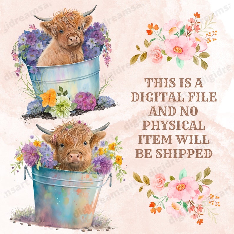 Cute Baby Highland Cow Design Bundle PNG Transparent Clipart - Etsy