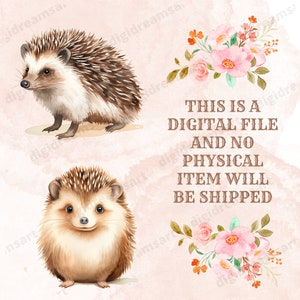 Hedgehog Clipart Bundle Transparent PNG Collection, Digital Prints ...