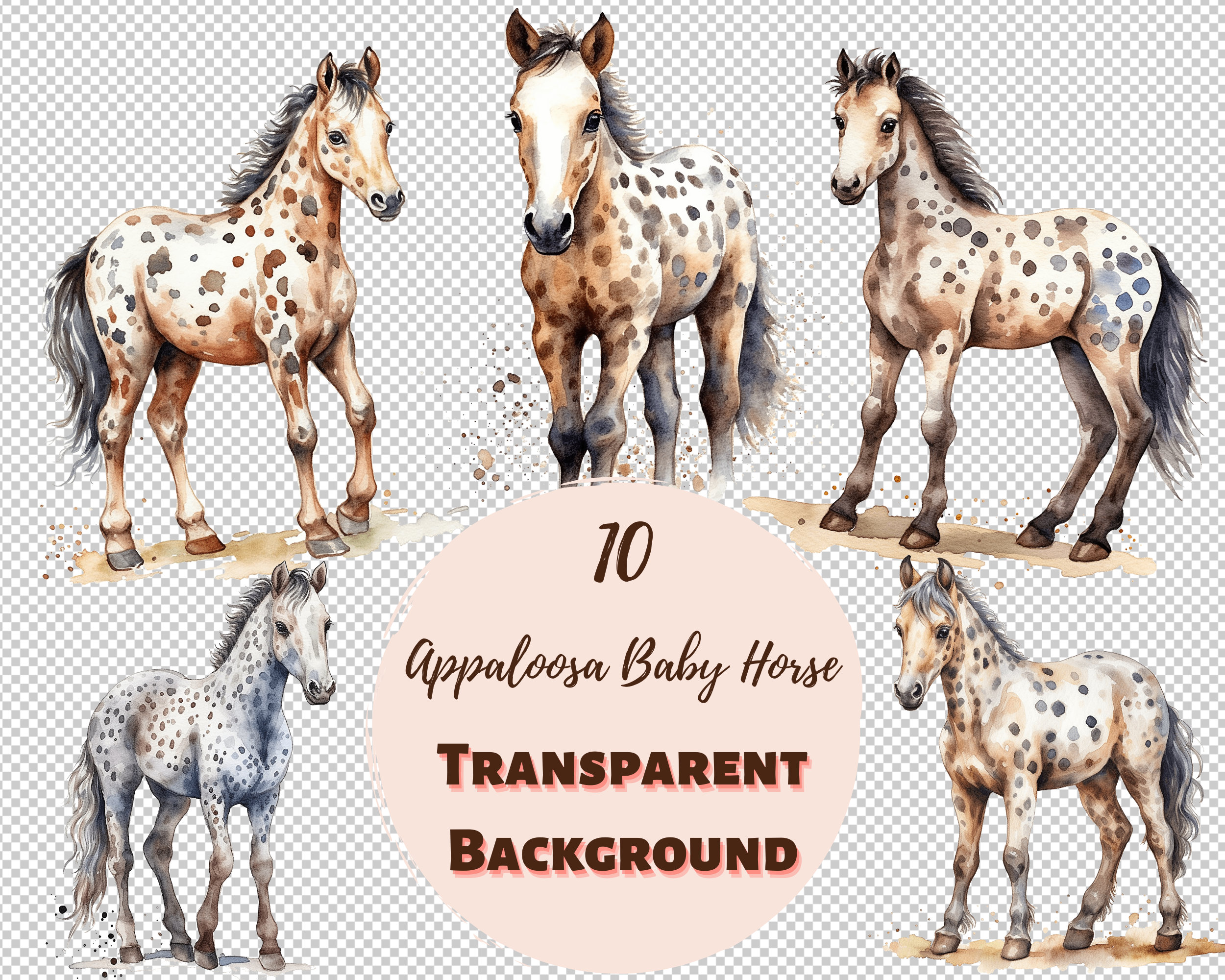 Appaloosa Baby Horse Transparent PNG Collection Watercolor - Etsy