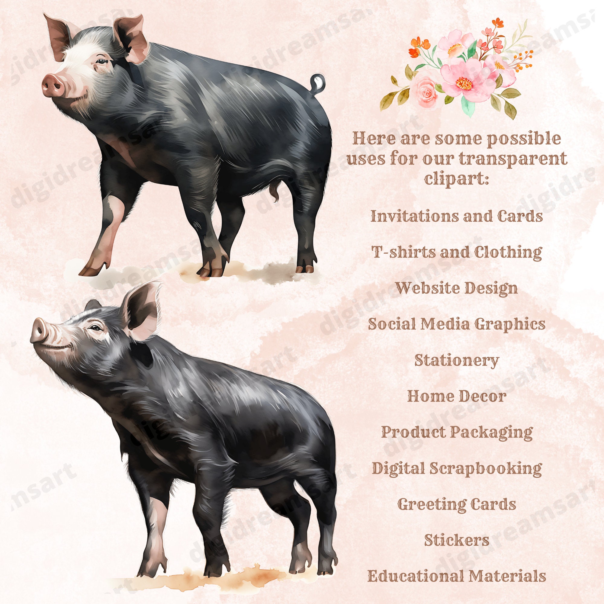 Watercolor Show Pigs Clipart: Pastel 4-H PNG Bundle (50 Images) - Etsy