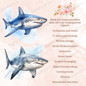 Shark, Clipart Bundle Transparent PNG Collection, Digital Prints ...