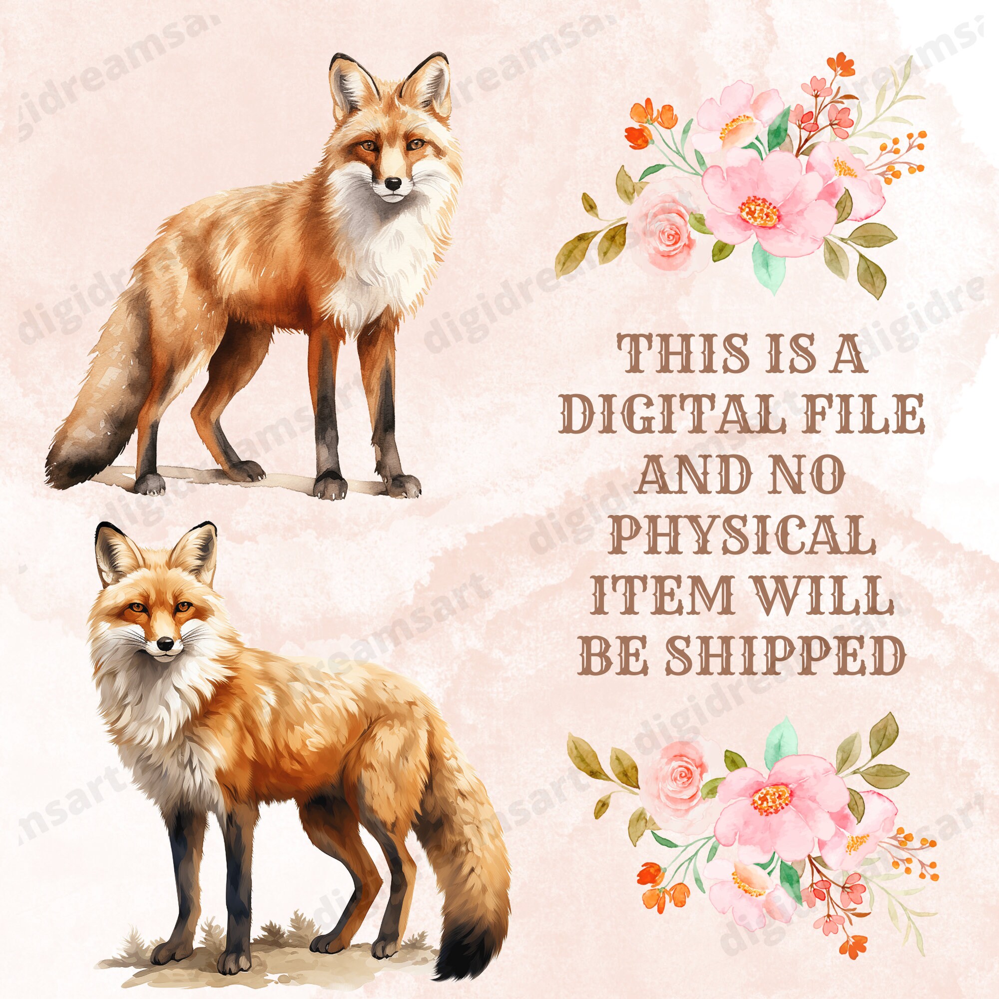 Fox Clipart Bundle - Transparent PNG Collection, Digital Prints ...