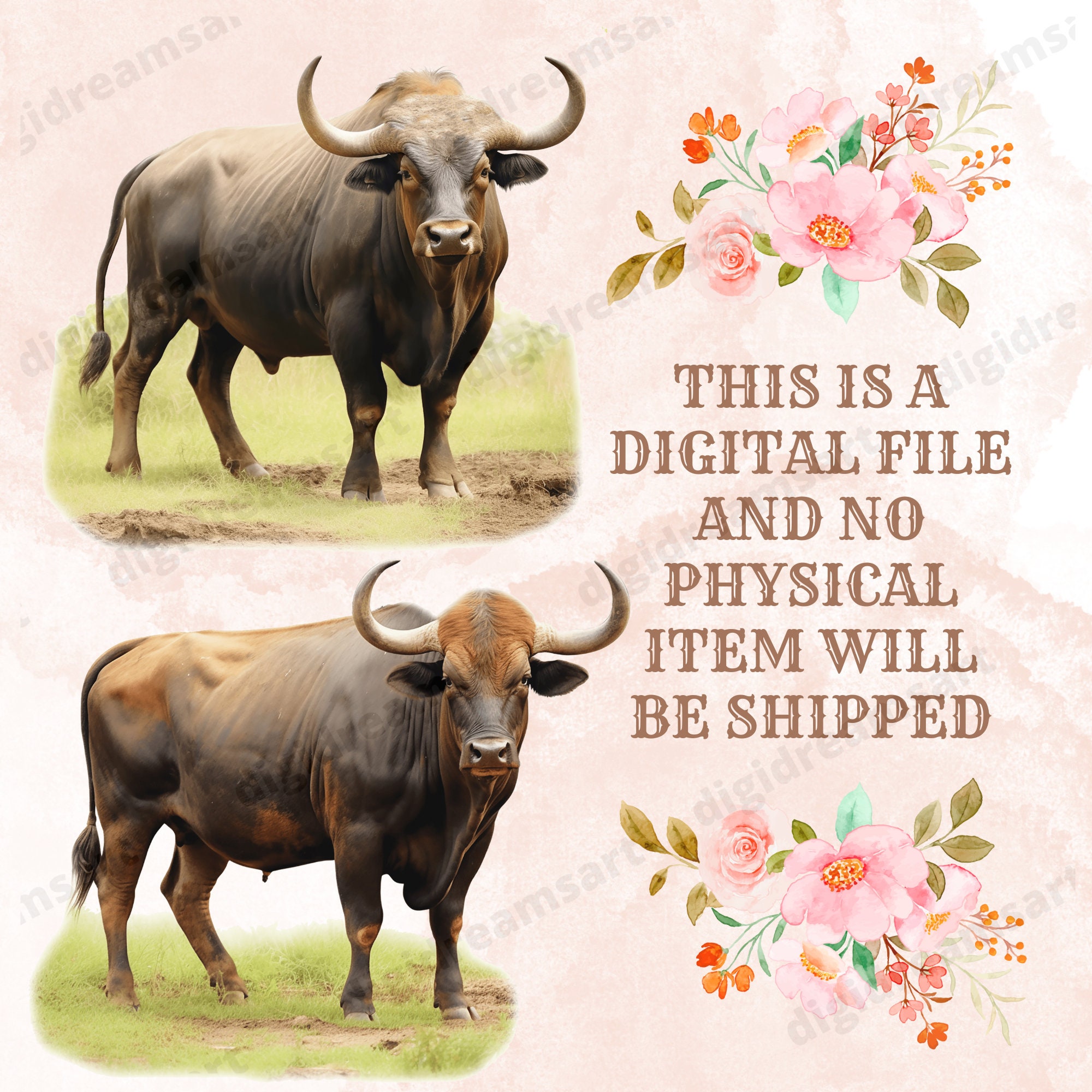 Gaur Clipart Bundle Transparent PNG Collection Digital - Etsy