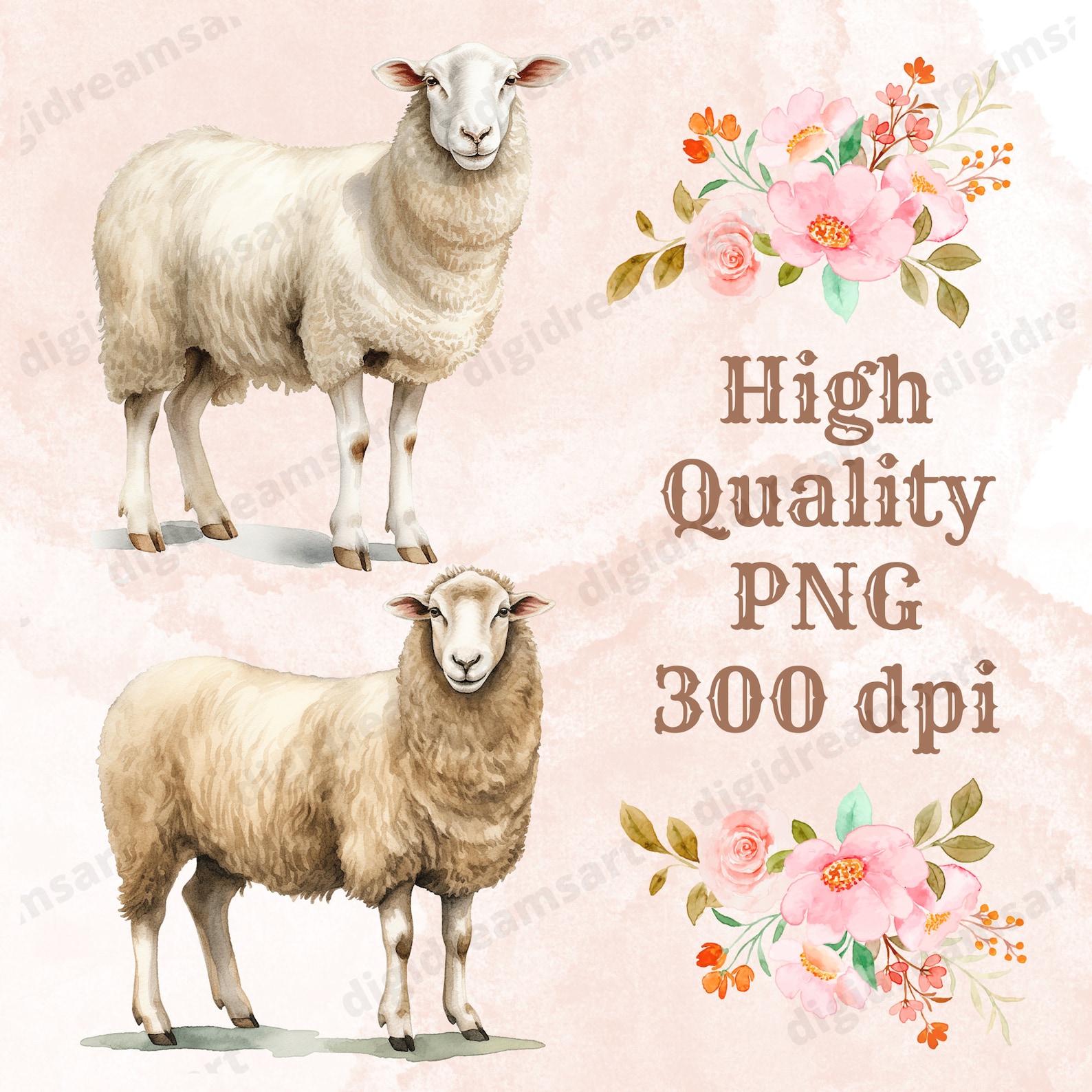 Farm Sheep Clipart Bundle Transparent PNG Collection, Digital Prints ...