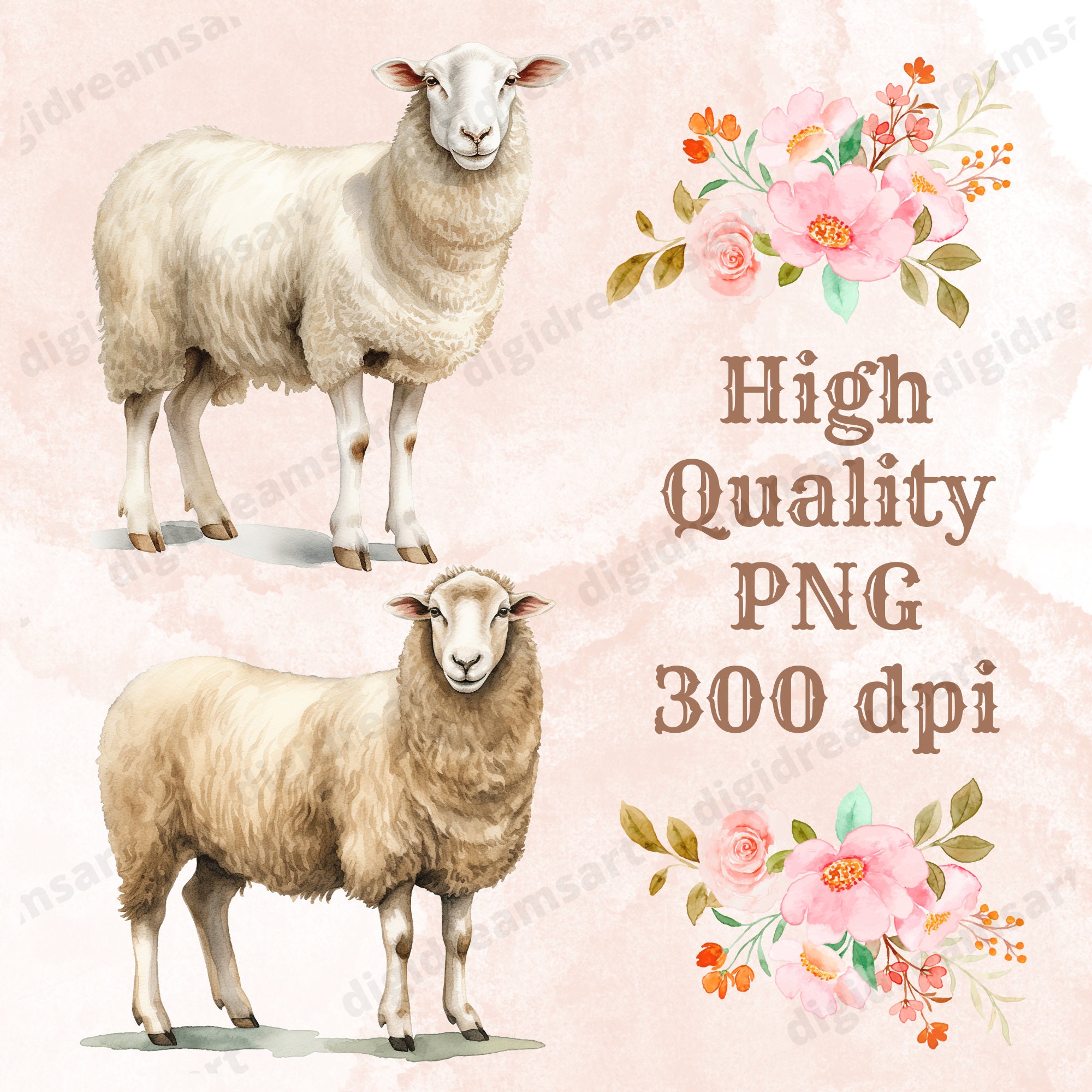 Farm Sheep Clipart Bundle Transparent PNG Collection, Digital Prints ...