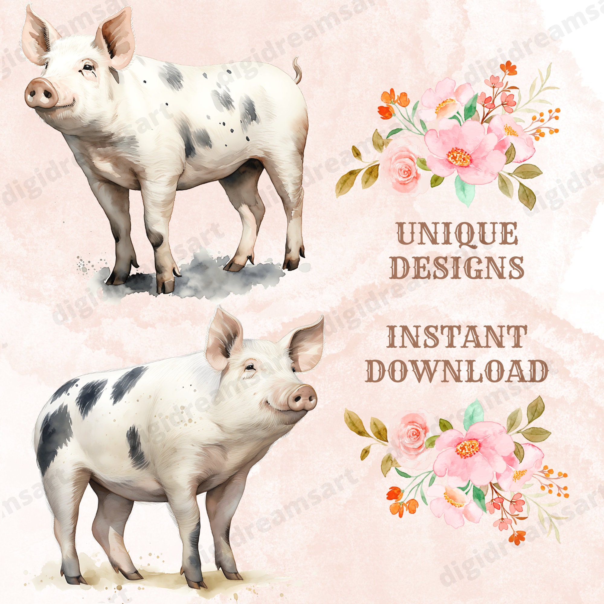 4-H Show Old Spots Pig Clipart Bundle Transparent PNG - Etsy
