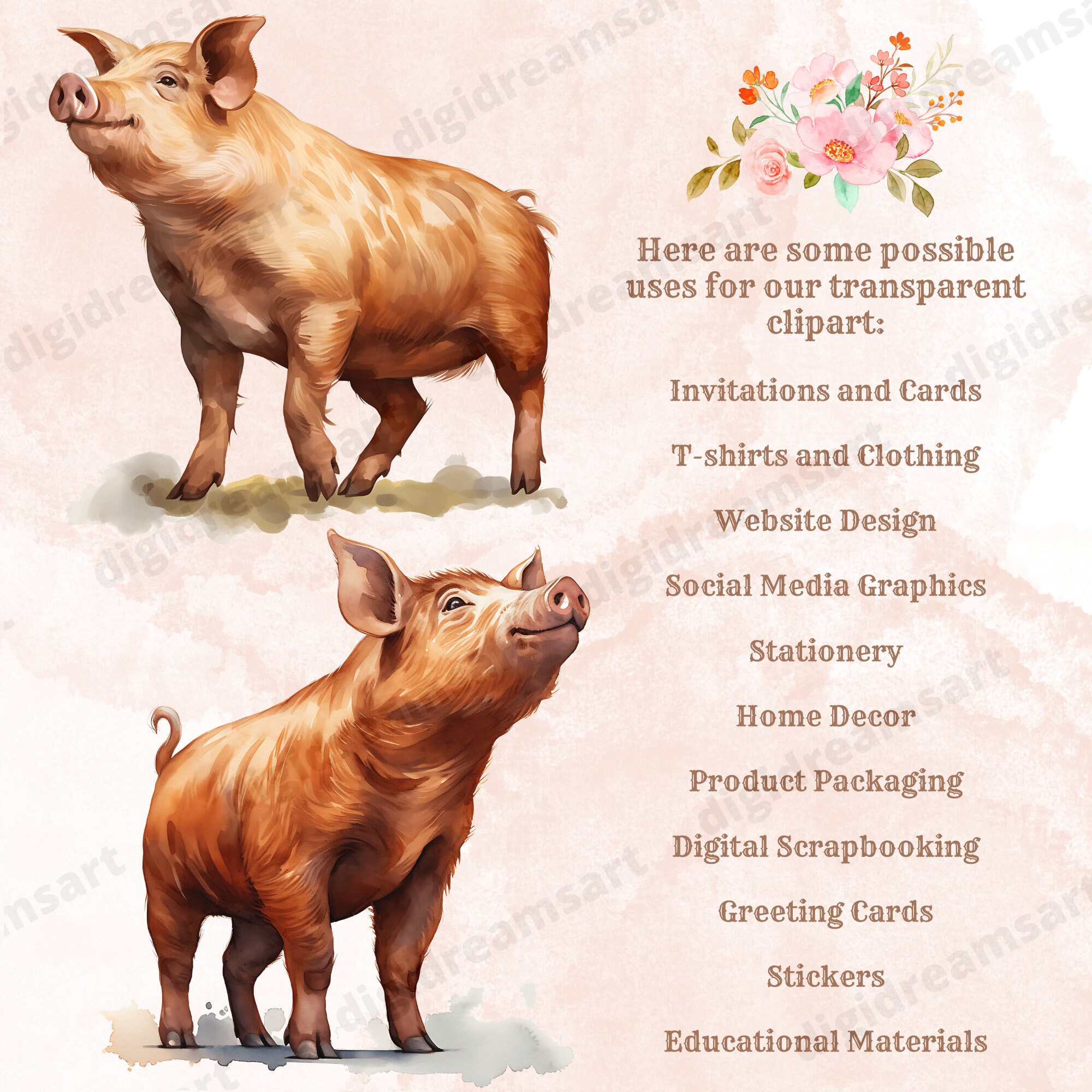 4-H Show Duroc Pig Clipart Bundle Transparent PNG Collection, Digital ...