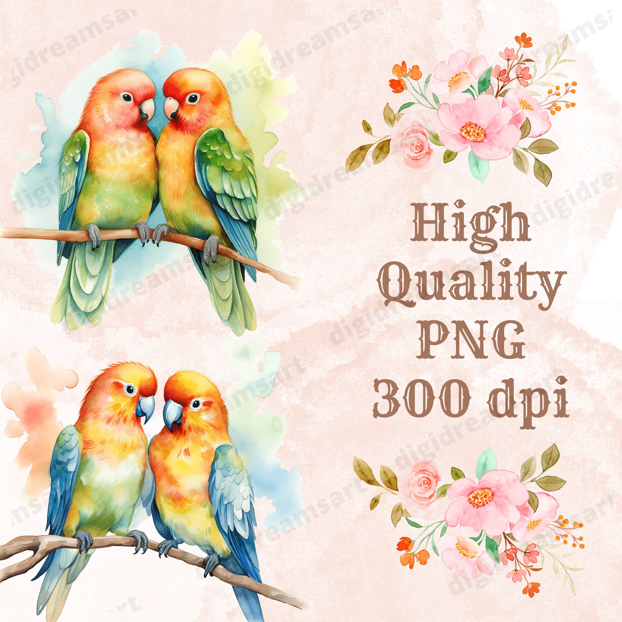 Lovebird Clipart Bundle - Transparent PNG Collection, Watercolor ...