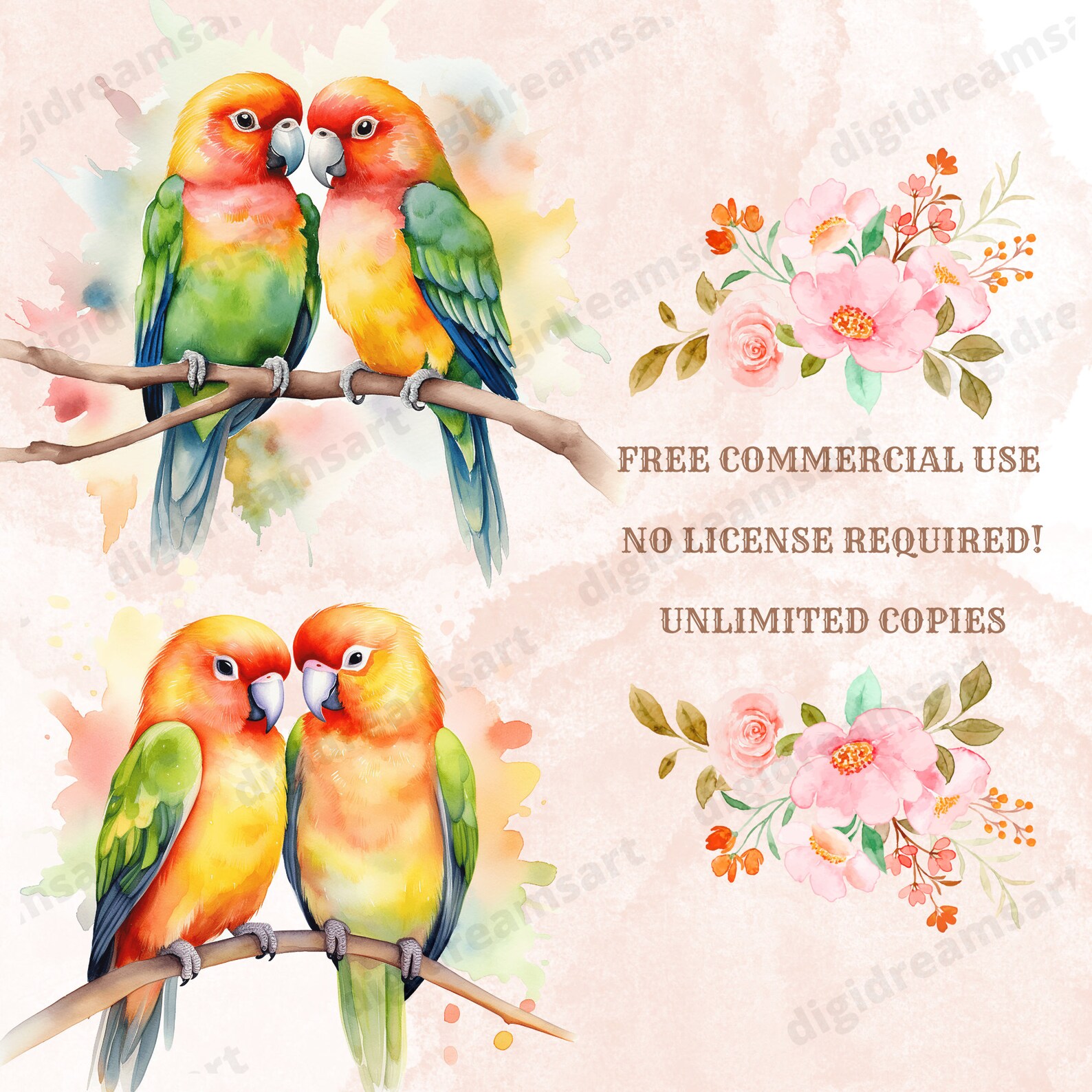 Lovebird Clipart Bundle - Transparent PNG Collection, Watercolor ...