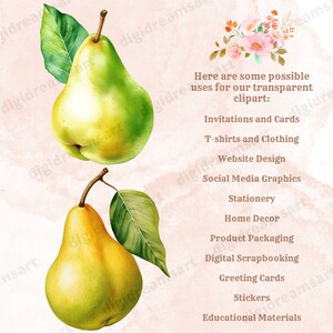 Pear Clipart Bundle Transparent PNG Collection, Watercolor Graphics ...